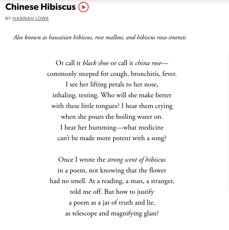 New poems - Hannah Lowe